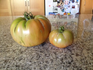 2016-01 January 2016 Newsletter